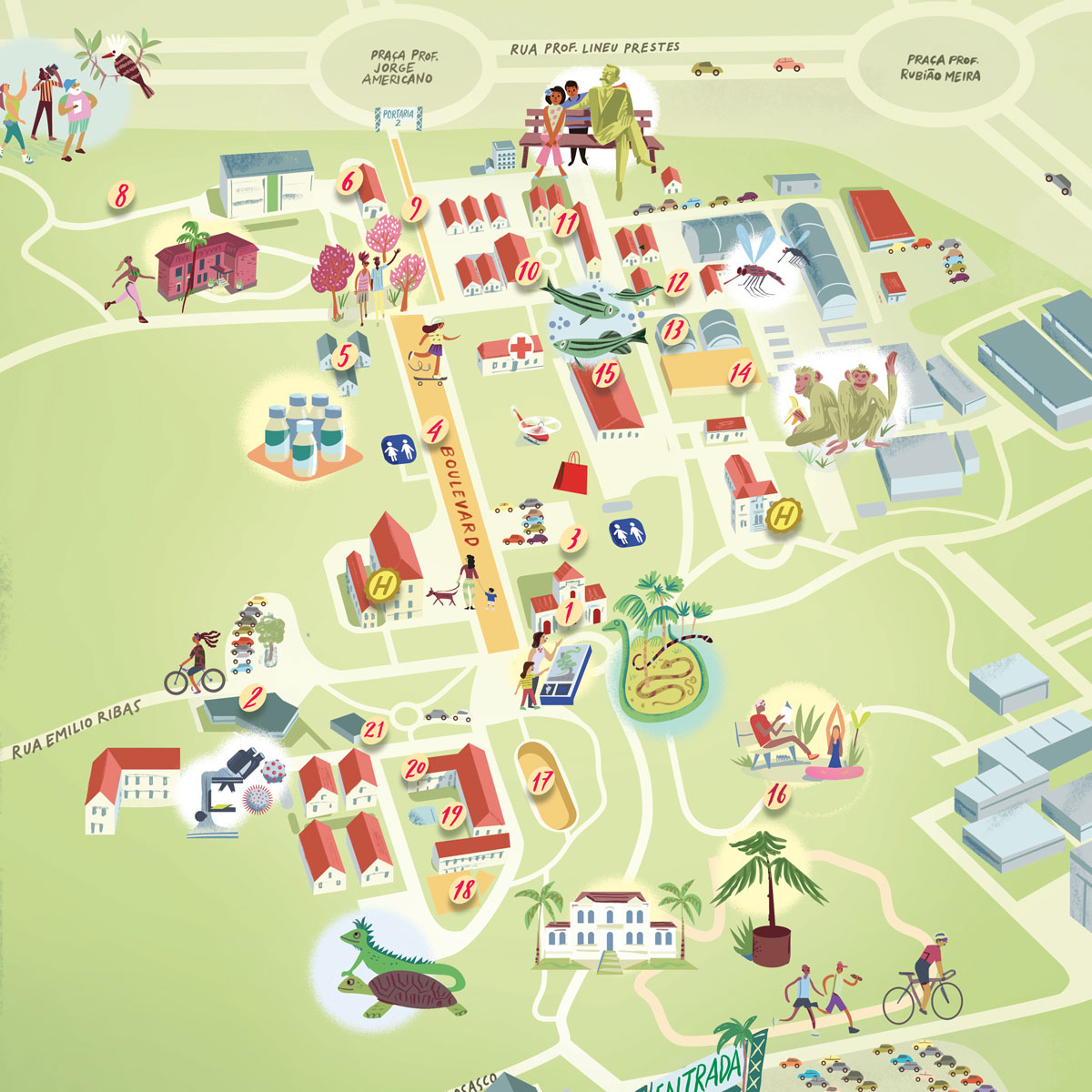 Butantan Institute – Wonderful World of Maps